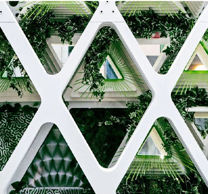 Special Installation Spotlight: Monarch Sanctuary - Morris Museum