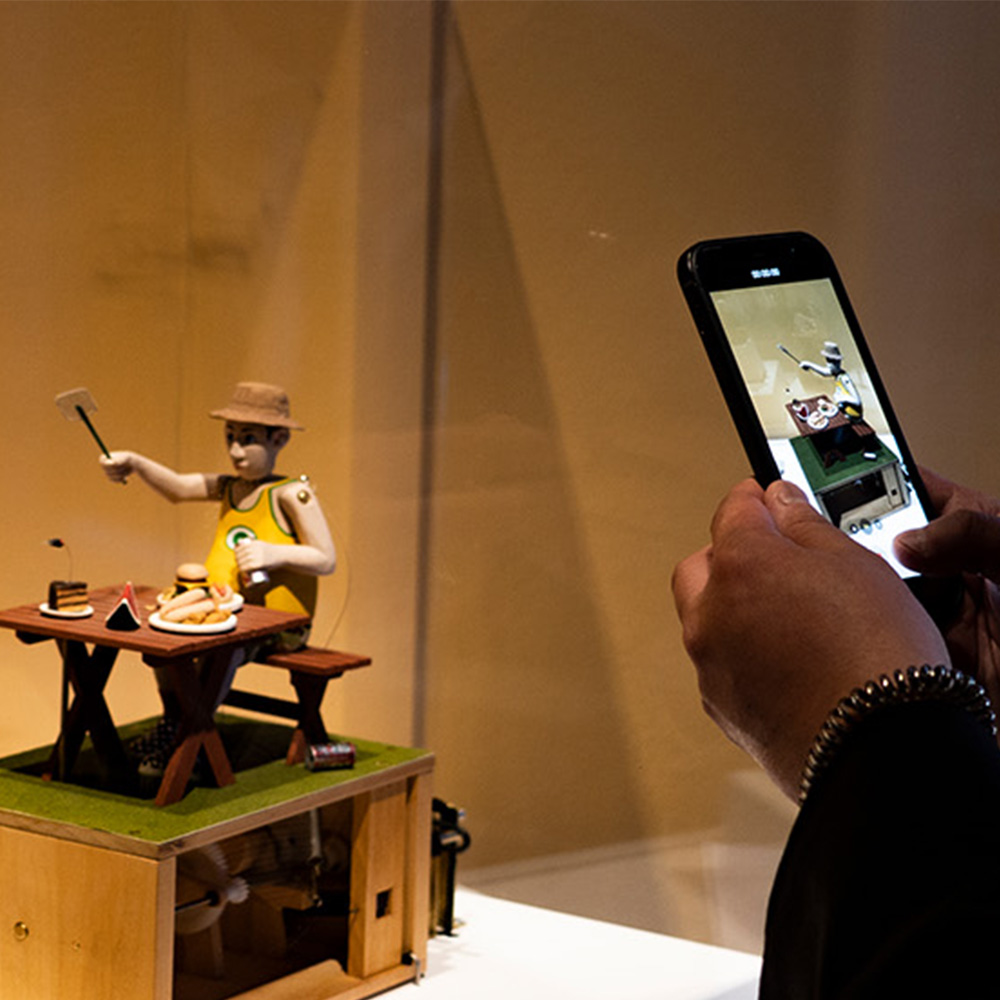 Terms and Conditions - Morris Museum