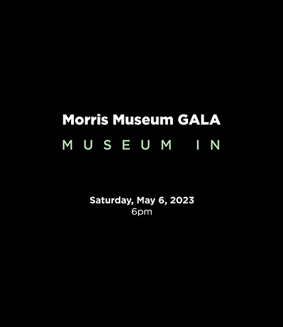 Morris Museum Gala 2023 - Morris Museum