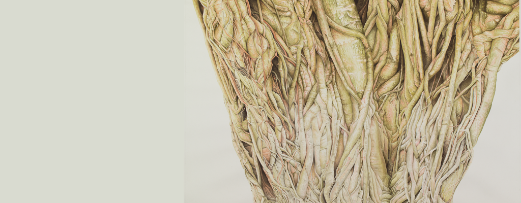 Eyes on Nature, the Art of Sean Cavanaugh - Morris Museum