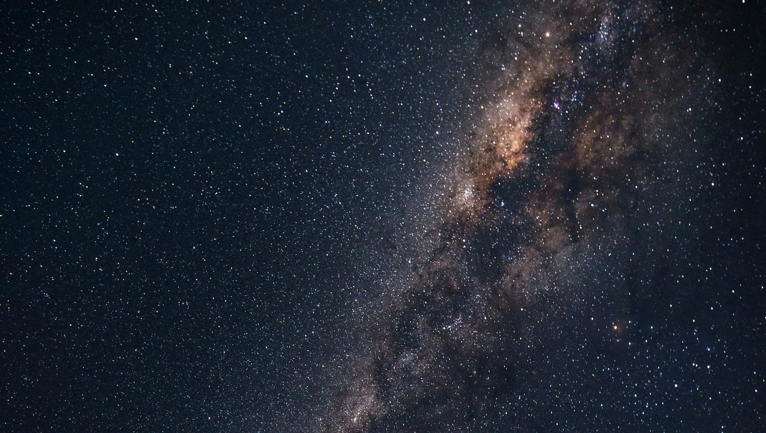 The Story of Everything - Morris Museum